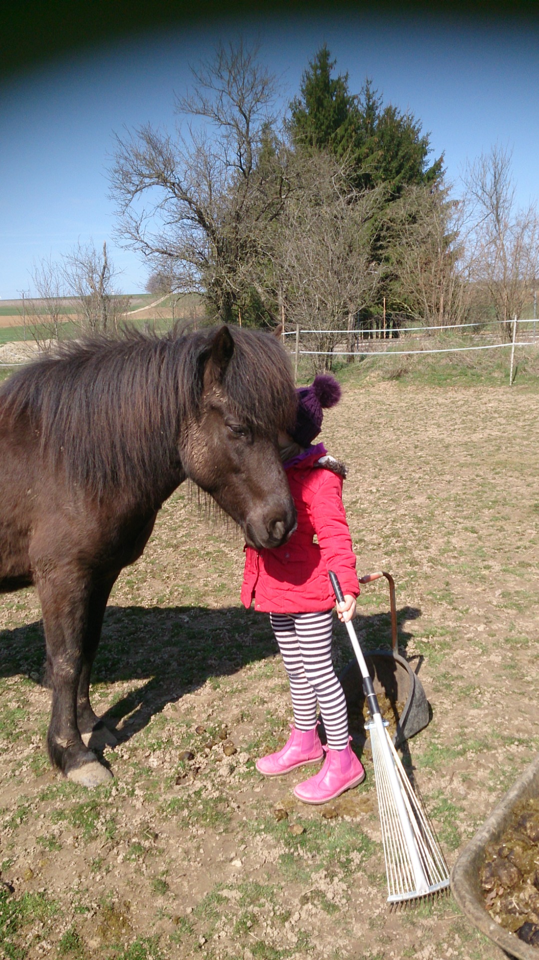 Dienstleistungen :: Therapeutisches-Reiten-Perl-Saarland